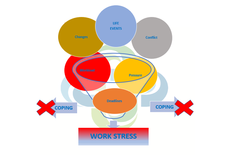 Our Stress Container – Mickscotraining
